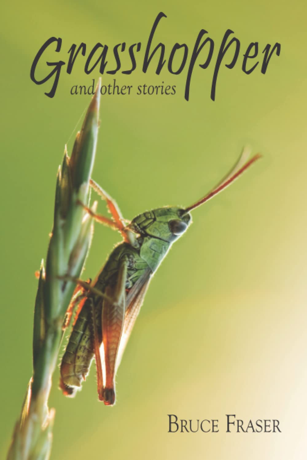Grasshopper and Other Stories published – Bruce Fraser – Author